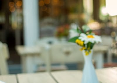 Pasent - Restoran u Sremskim Karlovcima - Mera dobrih ukusa